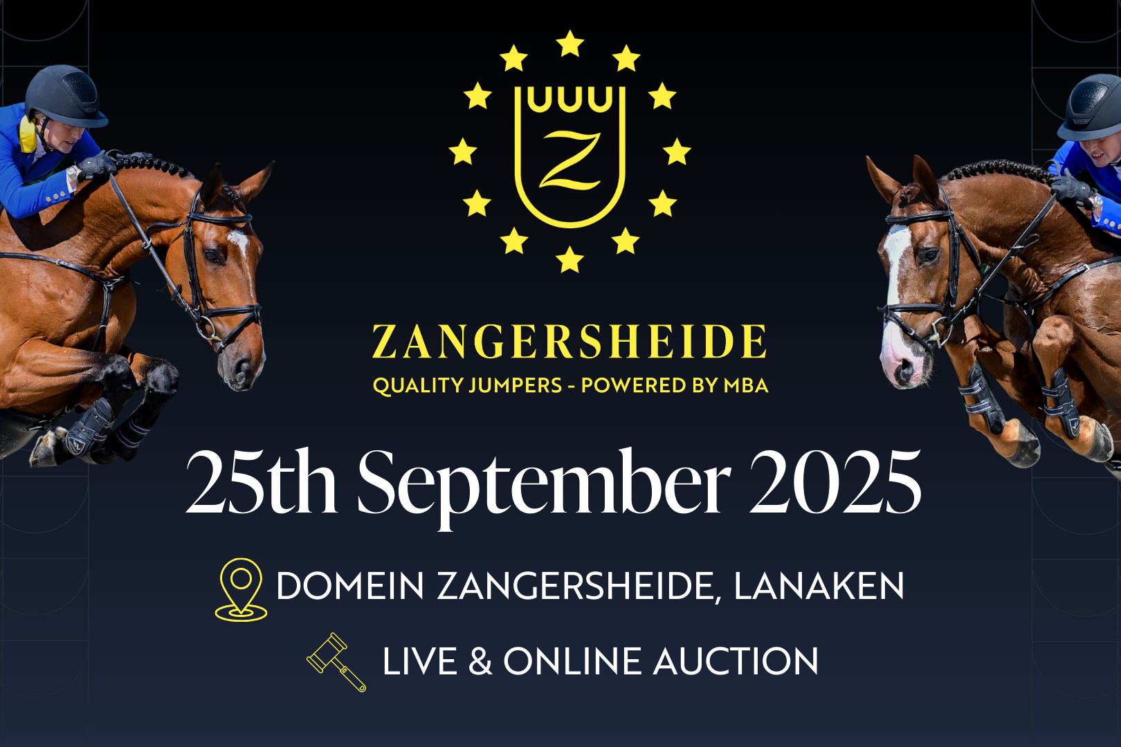 Discover the extraordinary auction collections | Zangersheide.Auction